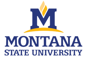 World Education MyCAA