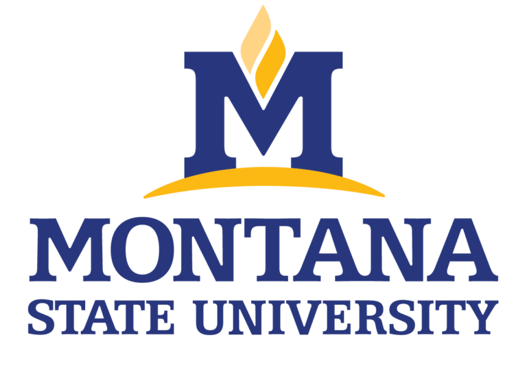 World Education MyCAA